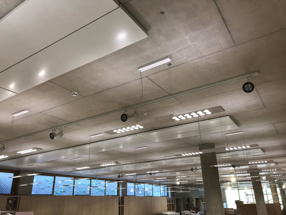 Case Studies | Delmond